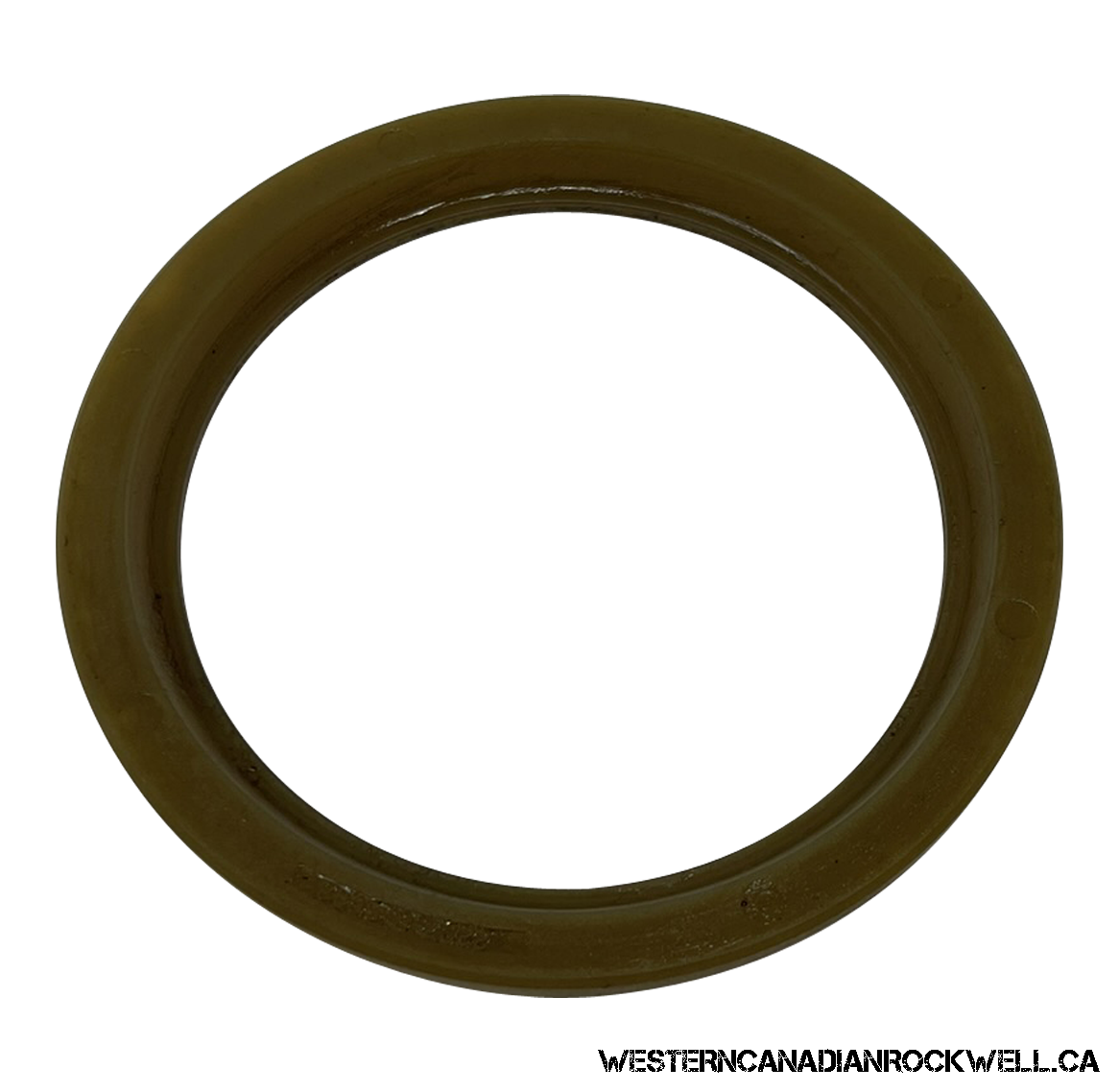 CTIS SEAL RETAINER, MERITOR/MX 23 – WESTERN CANADIAN ROCKWELL INC